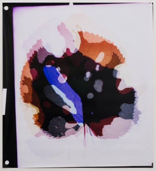 Eva-Fiore Kovacovsky | Fotogramm / Linde II, 2013