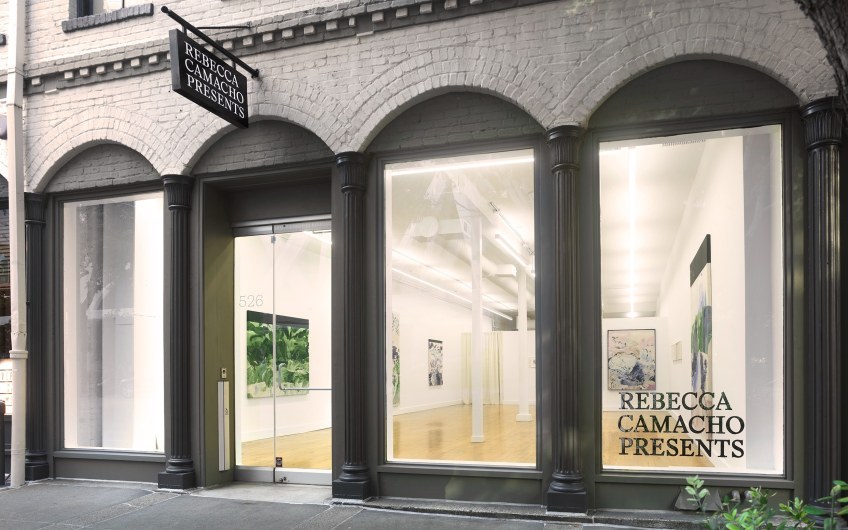 Rebecca Camacho Presents | Art Basel